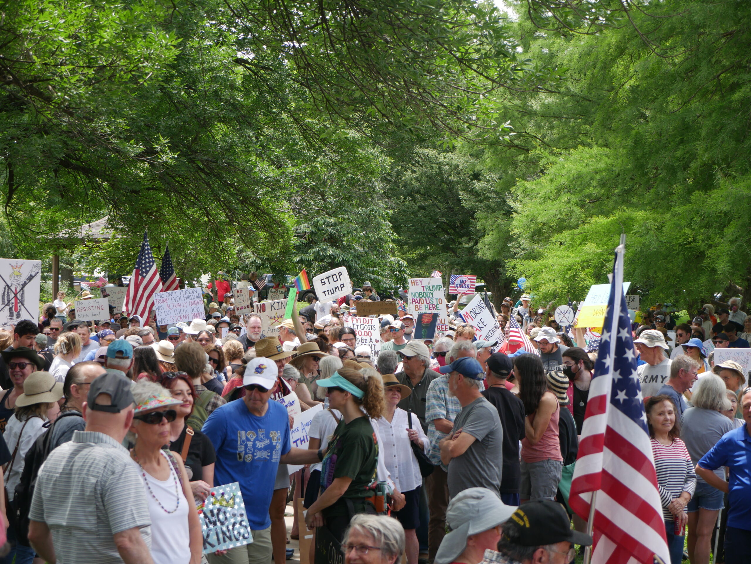 Anti-Trump crowd gathers in Watson Park for ‘No Kings’ rally | News ...
